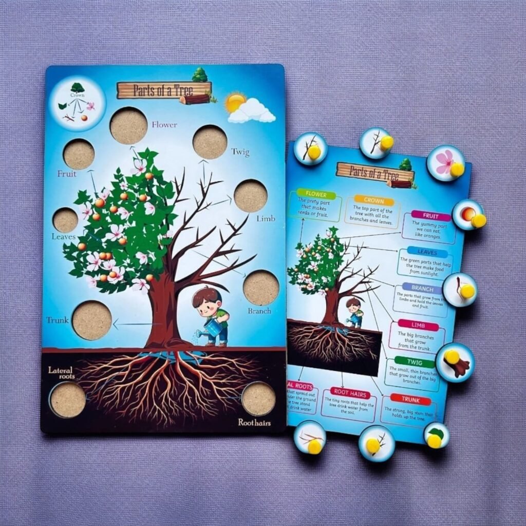 Parts Of A Tree & Plant Combo Kit - Kiddiwinks
