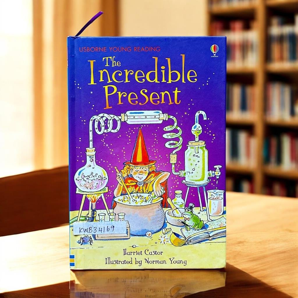 Usborne Young Reading_The Incredible Present_Harriet Castor_KWB34169 ...