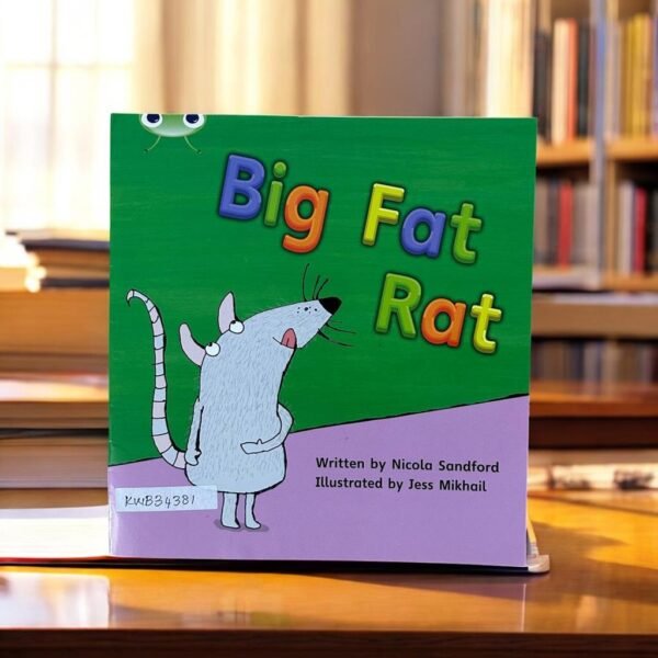 Big Fat Rat_Nicola Sandford_KWB34381 - Kiddiwinks
