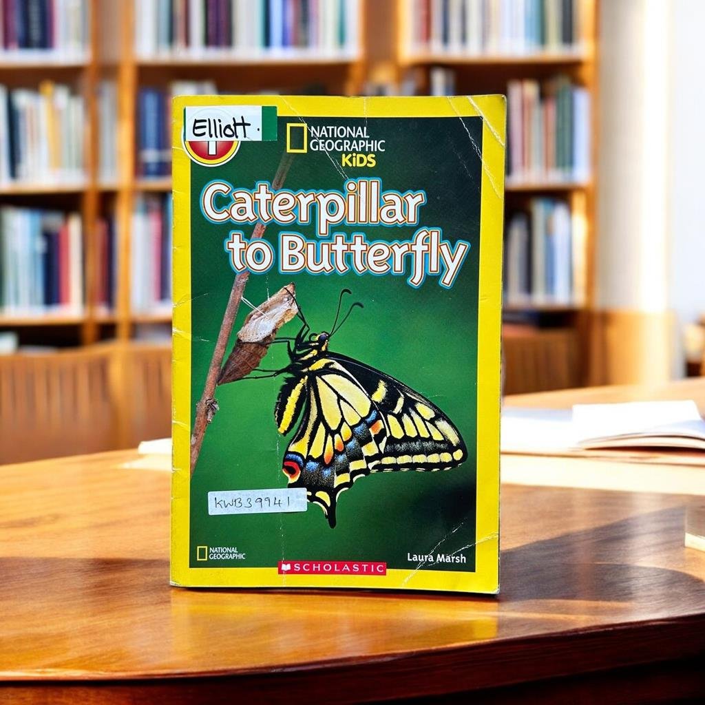National Geographic Kids_Caterpillar To Butterfly_Laura Marsh_KWB39941 ...